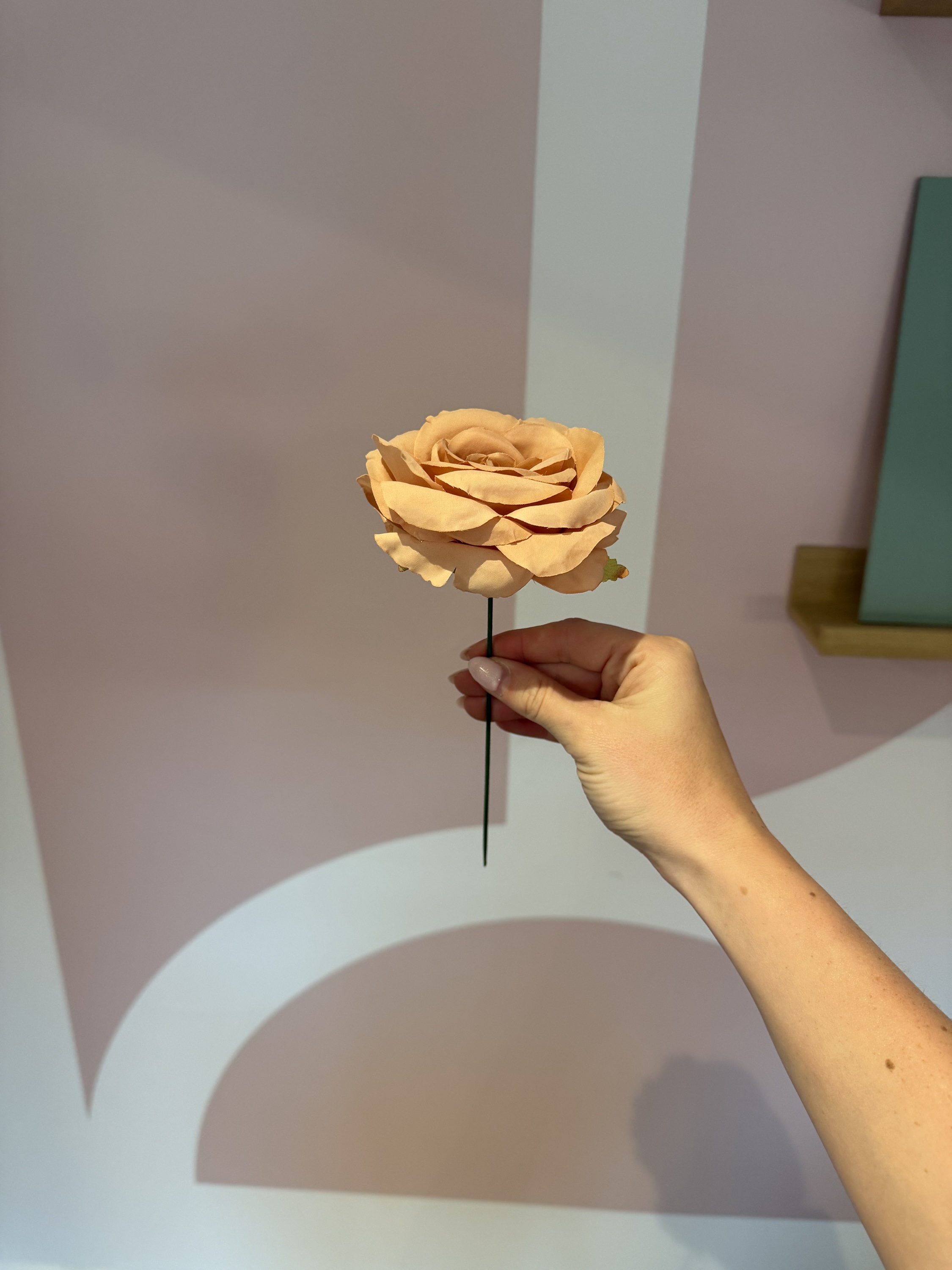 Sample - burnt orange/pink rose stem (x14) - Florify